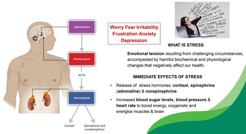 What Is Stress and How to Cope with It? | FULL HEALTH SECRETS