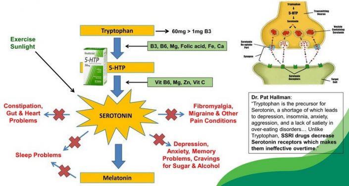 L-TRYPTOPHAN | FULL HEALTH SECRETS