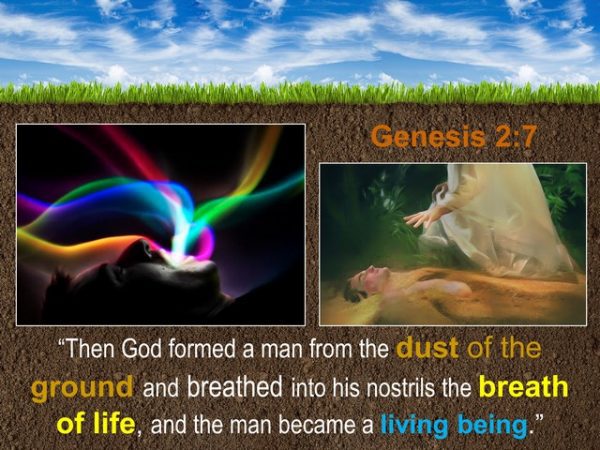 Atoms, Dna & Laminins – Wonders of God’s Intelligent Design – FULL ...